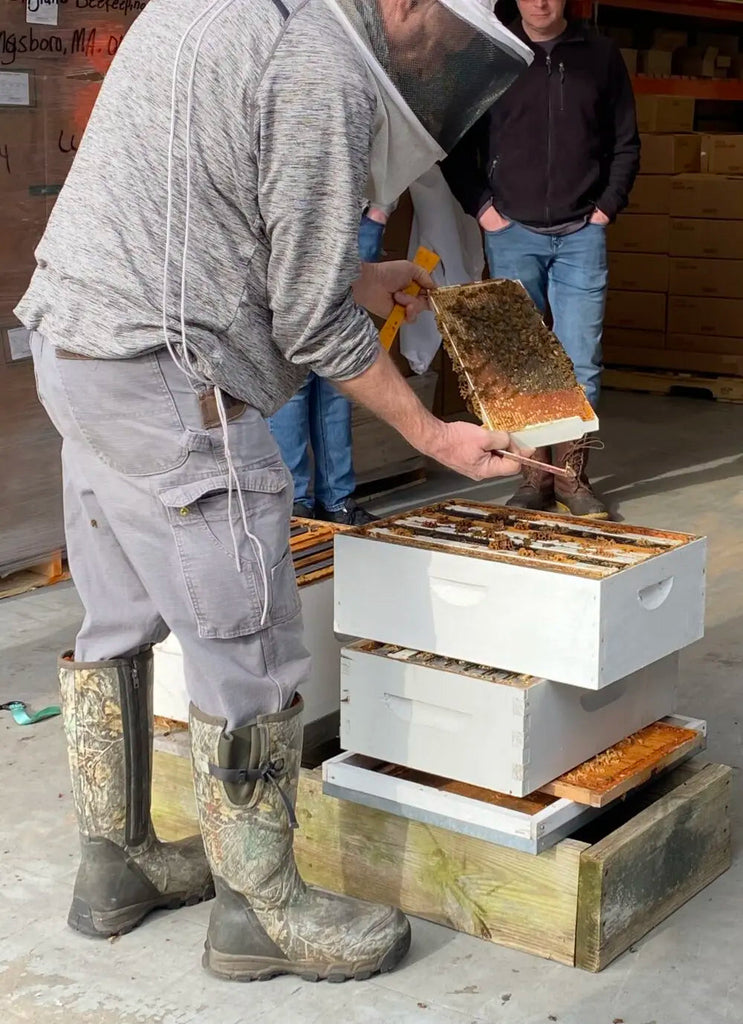 Mastering Beekeeping Technique: How to Perform a Controlled Split – The ...