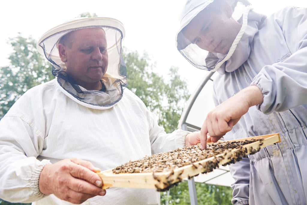 A Beekeeper's Guide: How to Safely Move Bee Hives – The Colony MA ...